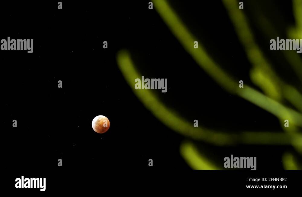 Red moon lunar eclipse Stock Videos & Footage - HD and 4K Video Clips ...