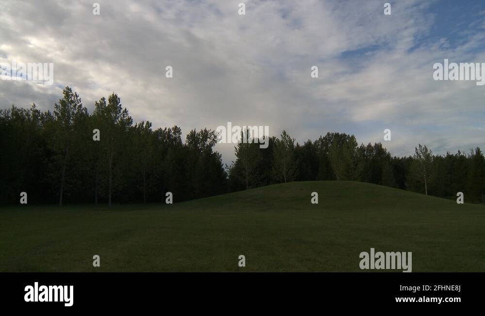 Edmonton trees Stock Videos & Footage - HD and 4K Video Clips - Alamy