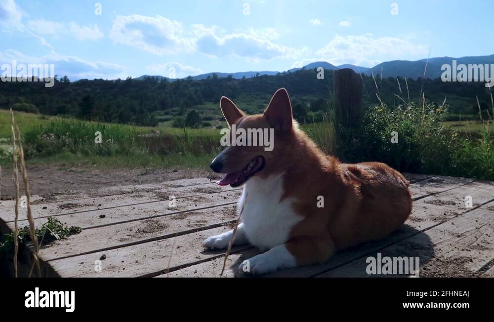 Dock and walkway Stock Videos & Footage - HD and 4K Video Clips - Alamy