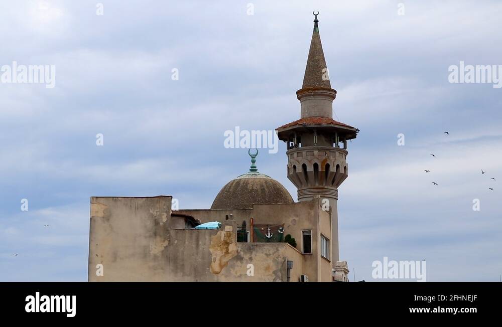 Mosques and birds Stock Videos & Footage - HD and 4K Video Clips - Alamy