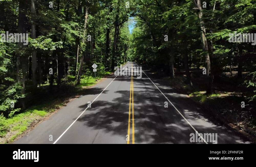 Trees overhanging road Stock Videos & Footage - HD and 4K Video Clips ...