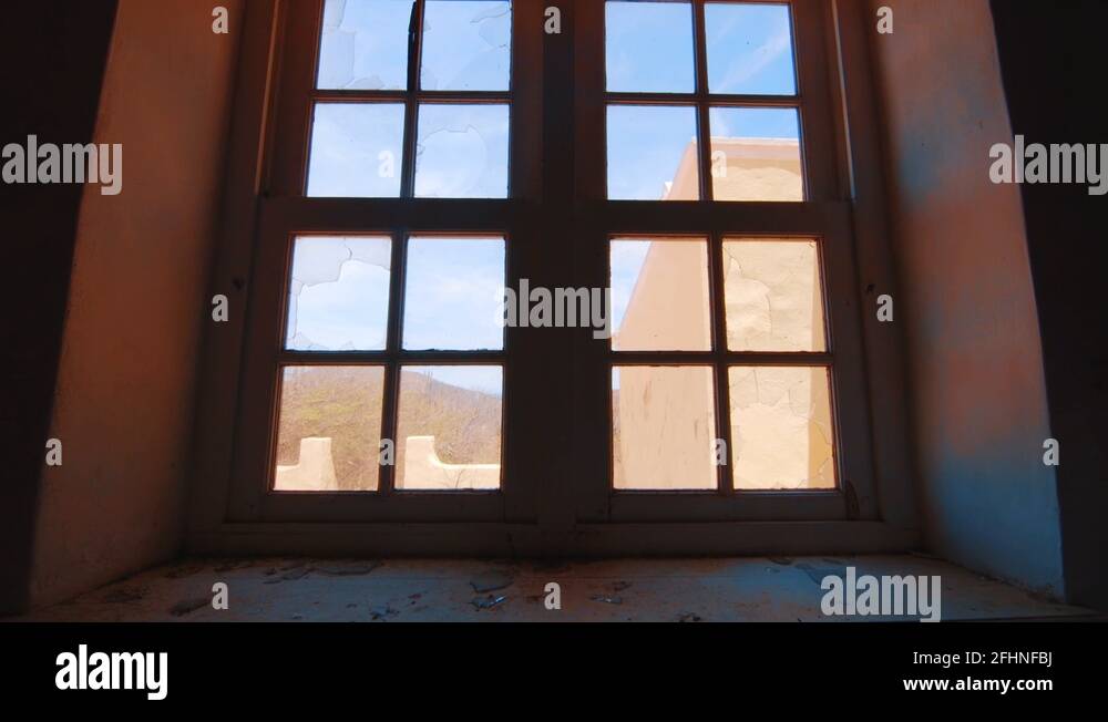 Bird droppings on blue Stock Videos & Footage - HD and 4K Video Clips ...