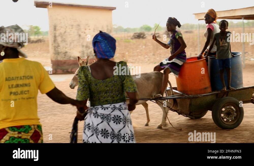 Donkey cart africa Stock Videos & Footage - HD and 4K Video Clips - Alamy