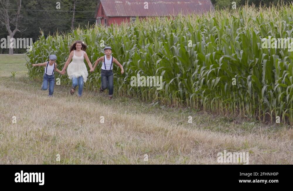 Country children playing in corn field on farm in Canada Stock Video ...