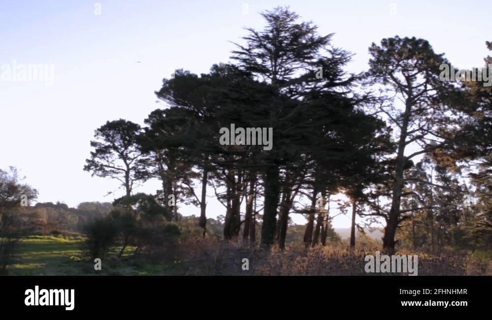 See trought Stock Videos & Footage - HD and 4K Video Clips - Alamy