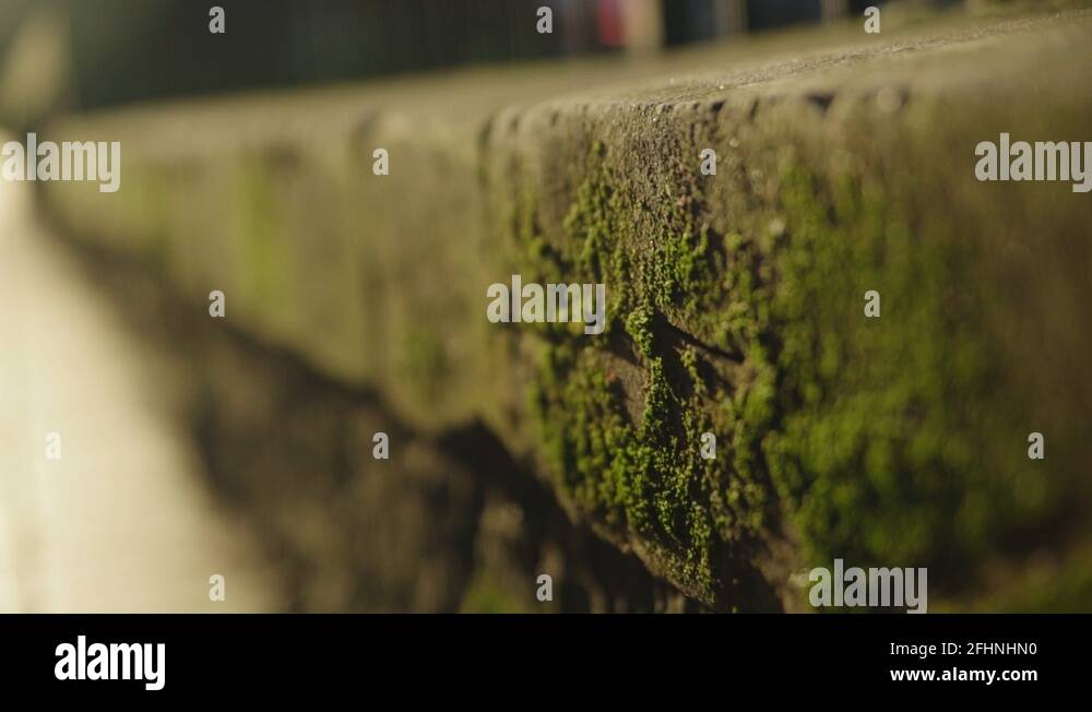 Concave wall Stock Videos & Footage - HD and 4K Video Clips - Alamy