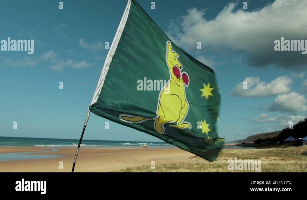 Skippy the kangaroo Stock Videos & Footage - HD and 4K Video Clips - Alamy