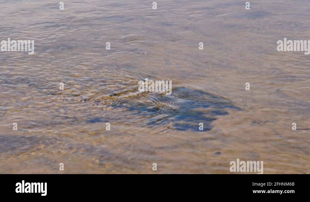 Receding tidal water Stock Videos & Footage - HD and 4K Video Clips - Alamy