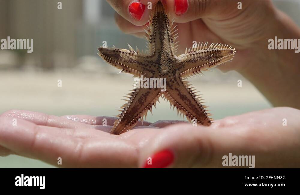 Five arms Stock Videos & Footage - HD and 4K Video Clips - Alamy