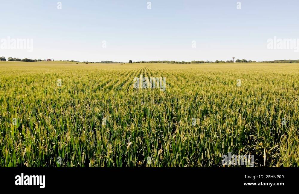 Indiana farm aerial Stock Videos & Footage - HD and 4K Video Clips - Alamy