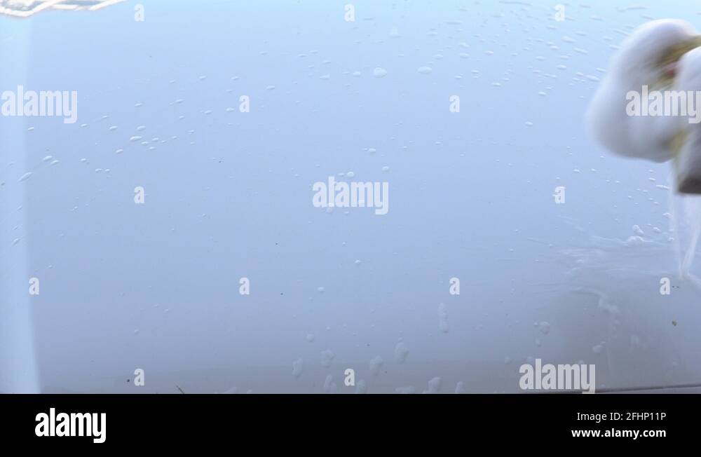 Suds sponge Stock Videos & Footage - HD and 4K Video Clips - Alamy