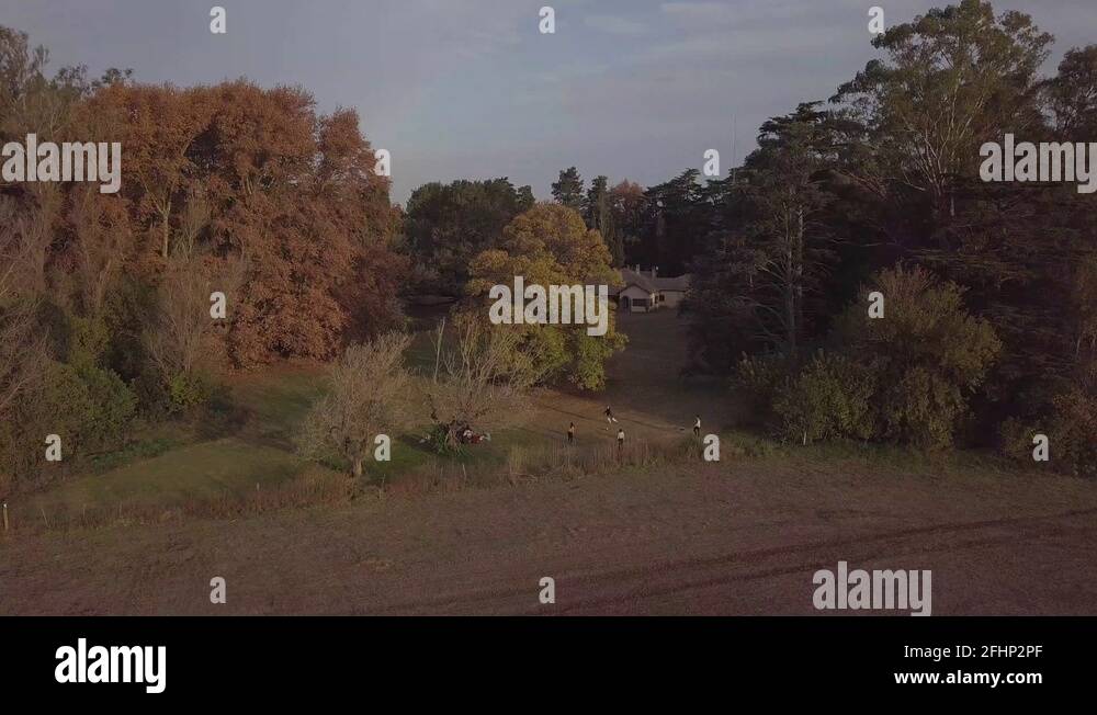 Forest football Stock Videos & Footage - HD and 4K Video Clips - Alamy