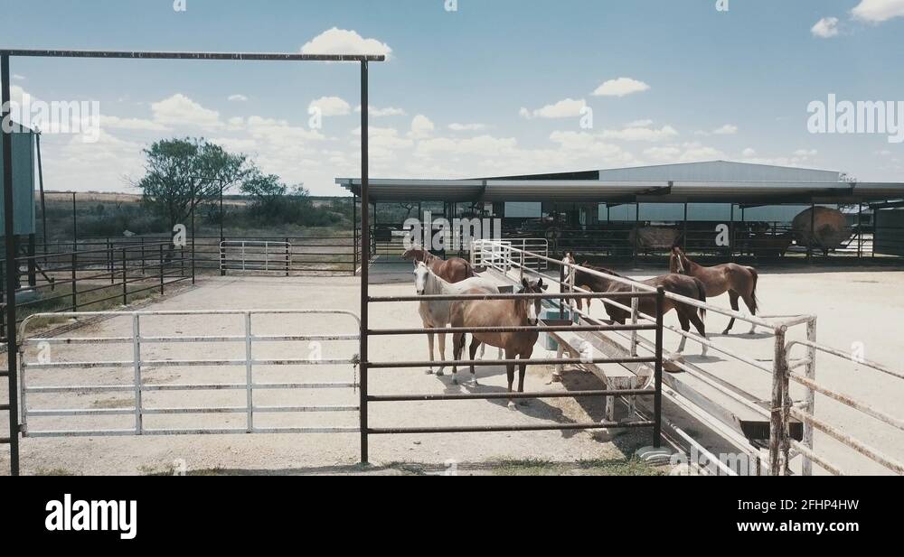 Fly ranch Stock Videos & Footage - HD and 4K Video Clips - Alamy
