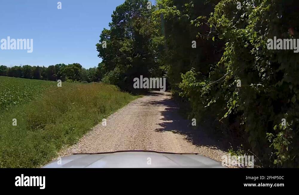 Drive through tree Stock Videos & Footage - HD and 4K Video Clips - Alamy