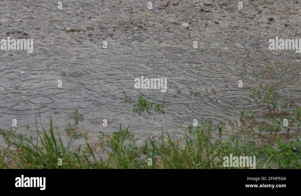 Clear puddle Stock Videos & Footage - HD and 4K Video Clips - Alamy