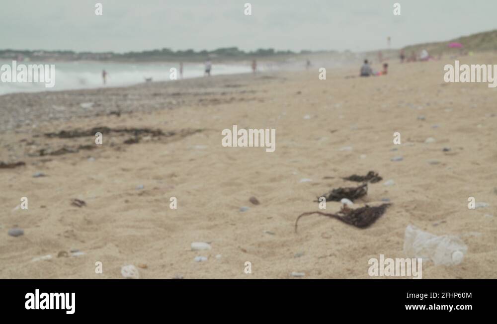 Sandy beach with plastic pollution. Trash on the beach Stock Video ...