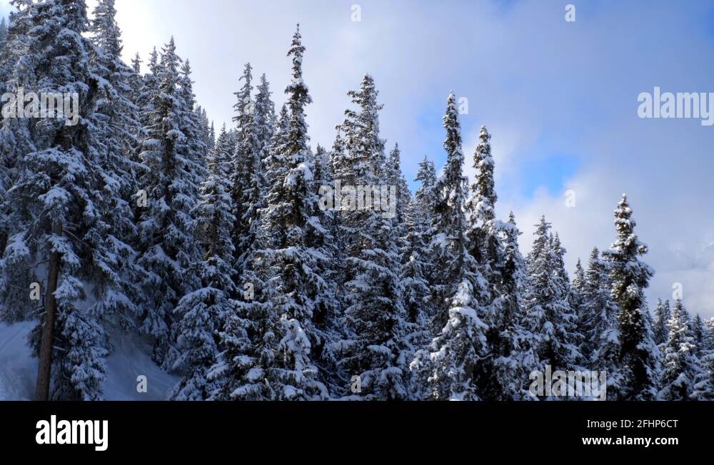 Ascending steep snow slope Stock Videos & Footage - HD and 4K Video ...