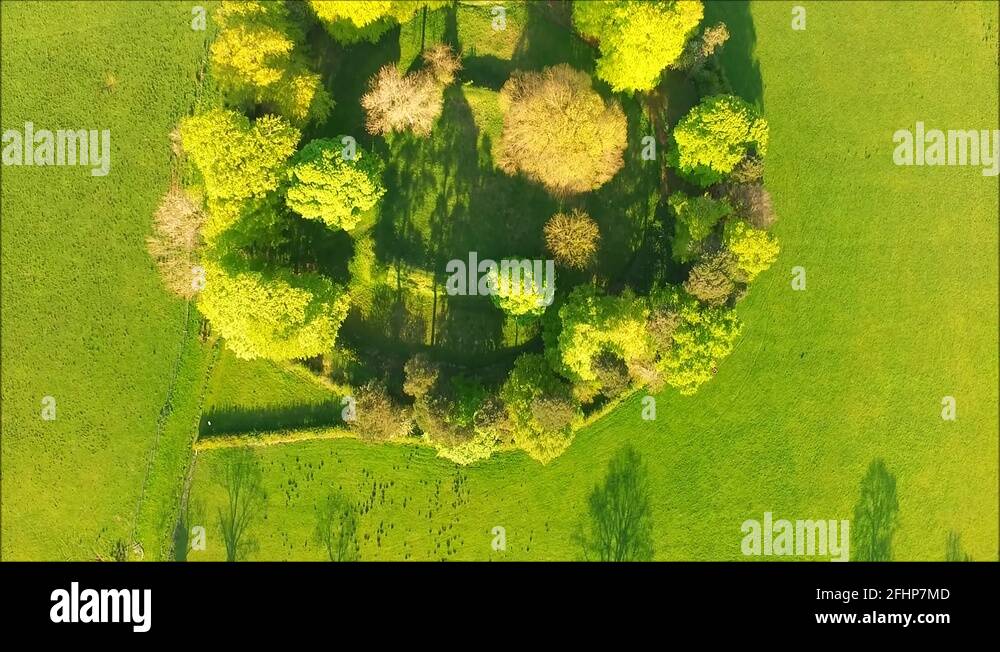 Ring fort aerial Stock Videos & Footage - HD and 4K Video Clips - Alamy
