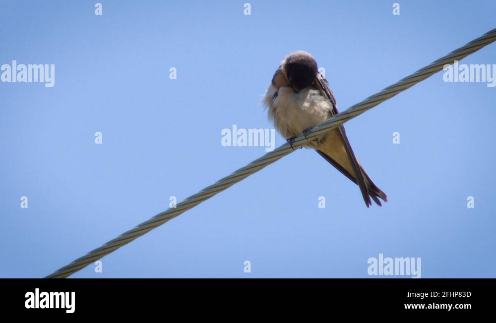 Hydro line Stock Videos & Footage - HD and 4K Video Clips - Alamy