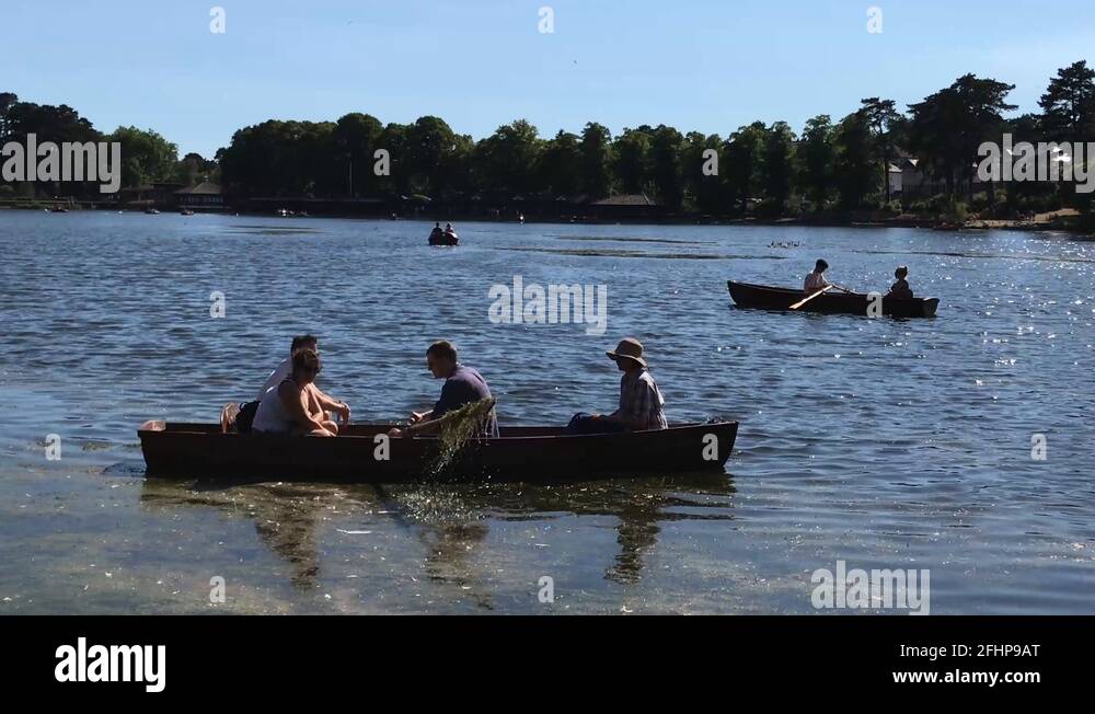 Cardiff lake Stock Videos & Footage - HD and 4K Video Clips - Alamy