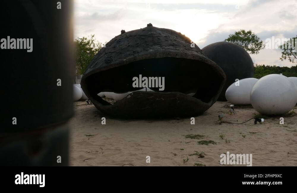 Giant turtle shell Stock Videos & Footage - HD and 4K Video Clips - Alamy
