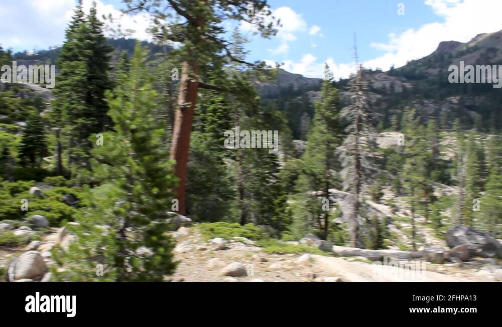 Pines and mountains Stock Videos & Footage - HD and 4K Video Clips - Alamy