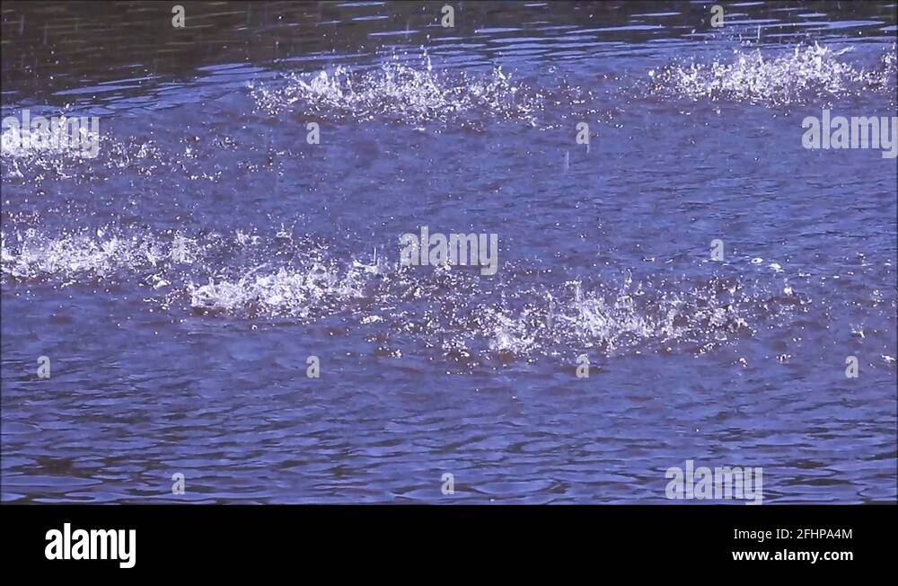 water splash into a pond Stock Video Footage - Alamy