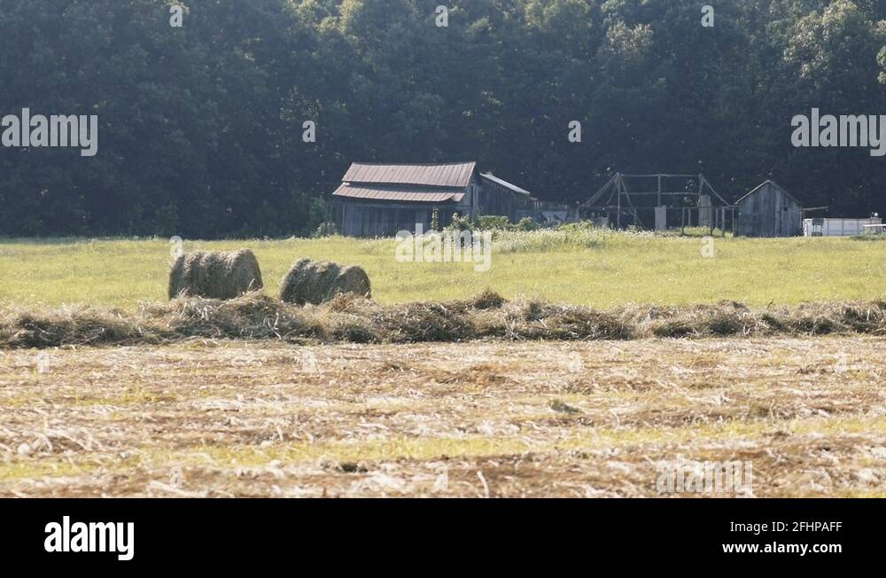 Deer barn farm Stock Videos & Footage - HD and 4K Video Clips - Alamy