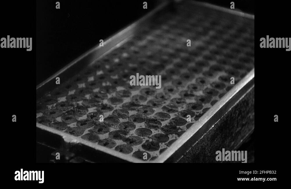 Tamp fill Stock Videos & Footage - HD and 4K Video Clips - Alamy