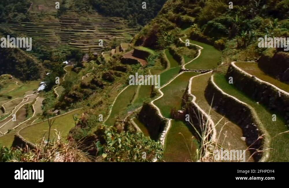 Man made terraces Stock Videos & Footage - HD and 4K Video Clips - Alamy