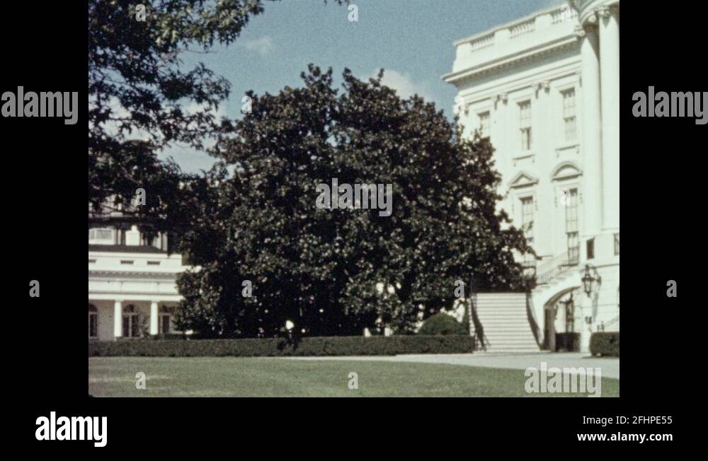 1950s: southern magnolia from Andrew Jackson grows near White House ...