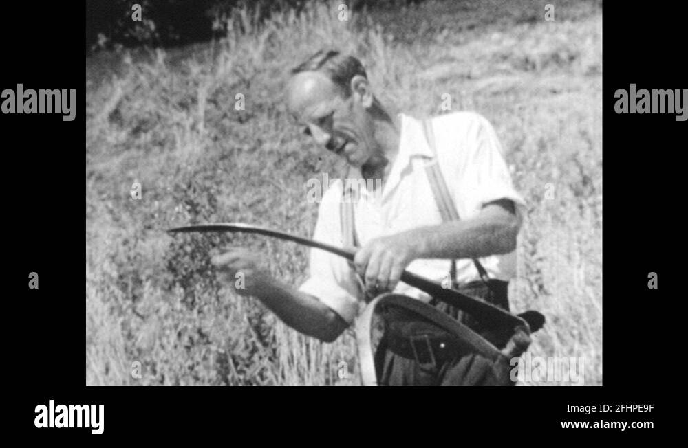 Austria scythe Stock Videos & Footage - HD and 4K Video Clips - Alamy