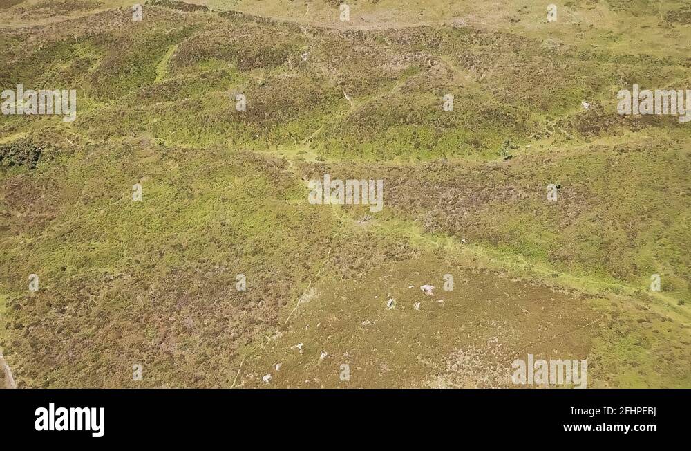 Moorland peat bogs Stock Videos & Footage - HD and 4K Video Clips - Alamy