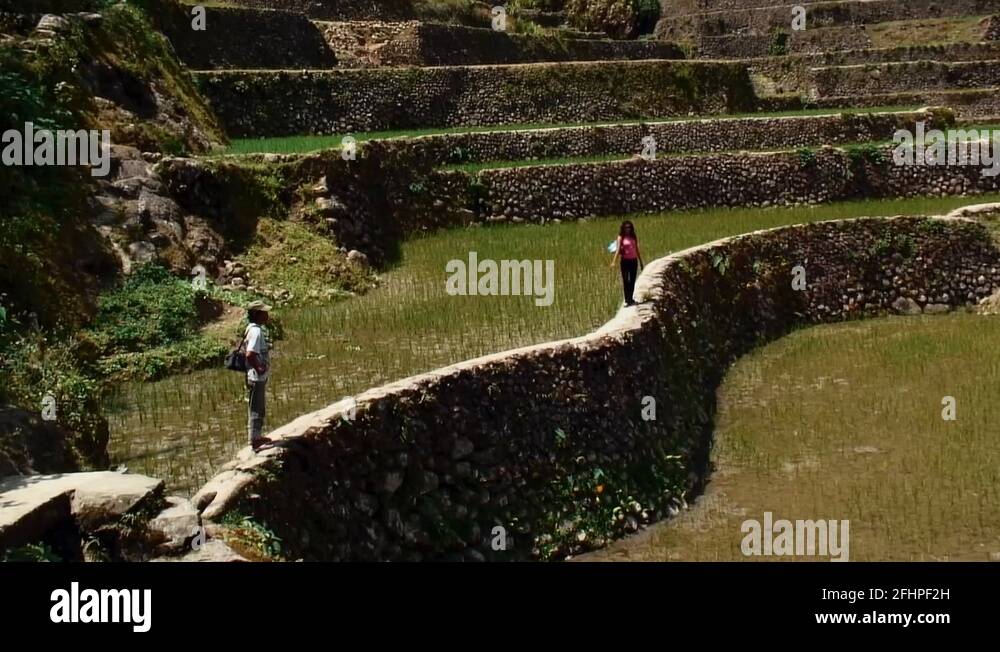 Ifugao farmer Stock Videos & Footage - HD and 4K Video Clips - Alamy