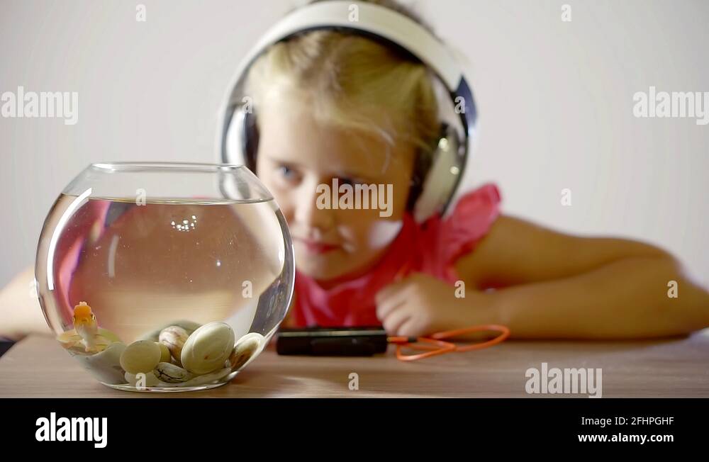 Screaming fish Stock Videos & Footage - HD and 4K Video Clips - Alamy