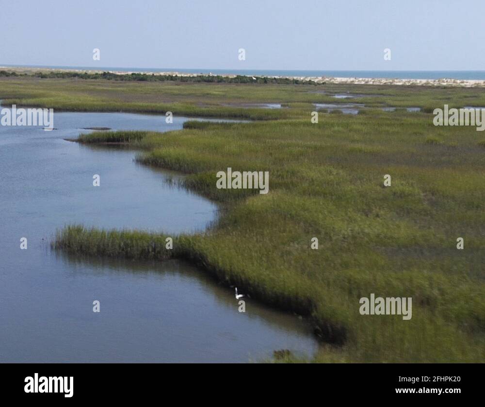 Marsh areas Stock Videos & Footage - HD and 4K Video Clips - Alamy