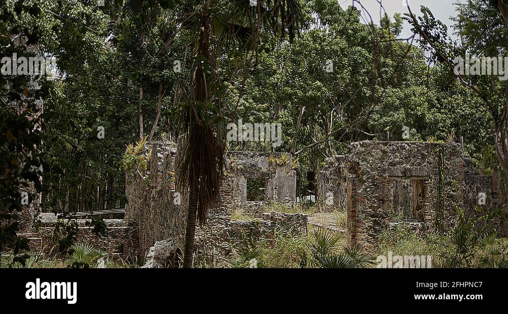 Indian sugar plantation Stock Videos & Footage - HD and 4K Video Clips ...