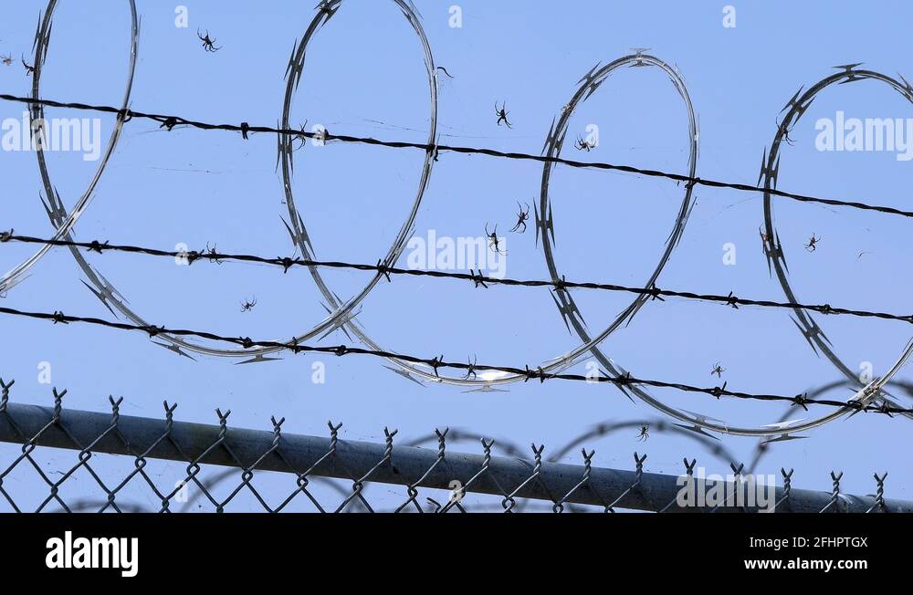 Chain link fence razor wire Stock Videos & Footage - HD and 4K Video ...