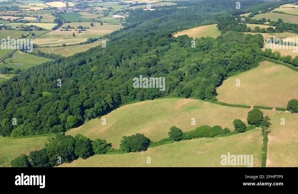 English woodlands forest Stock Videos & Footage - HD and 4K Video Clips ...