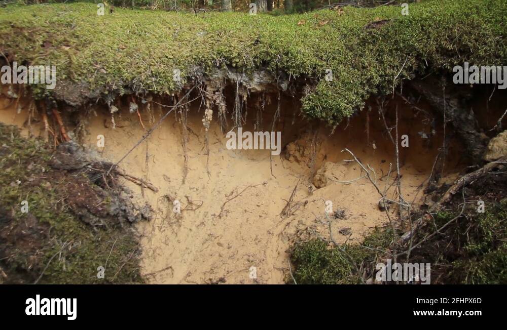 Soil layer Stock Videos & Footage - HD and 4K Video Clips - Alamy