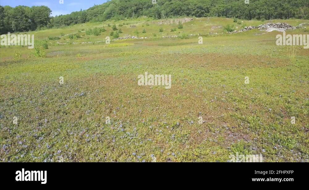 Low tech farming Stock Videos & Footage - HD and 4K Video Clips - Alamy