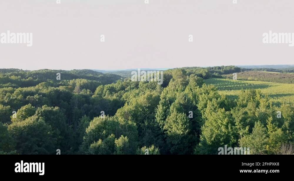 Cherry production Stock Videos & Footage - HD and 4K Video Clips - Alamy