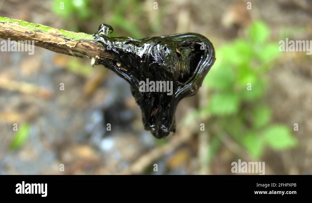 Former dump toxic waste, detail asphalt tar refined synthetic ...