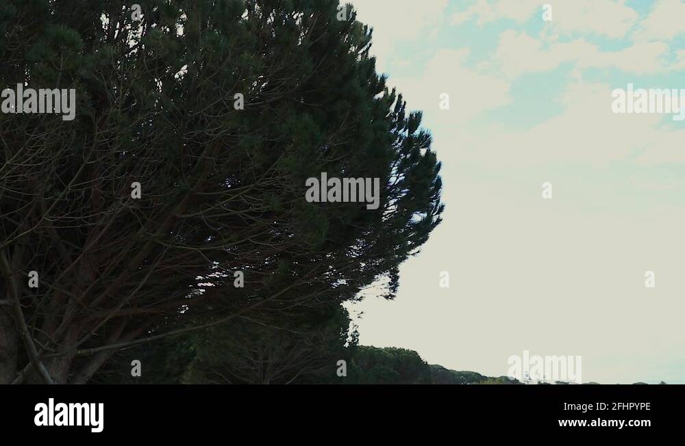 Past Stock Videos & Footage - HD and 4K Video Clips - Alamy