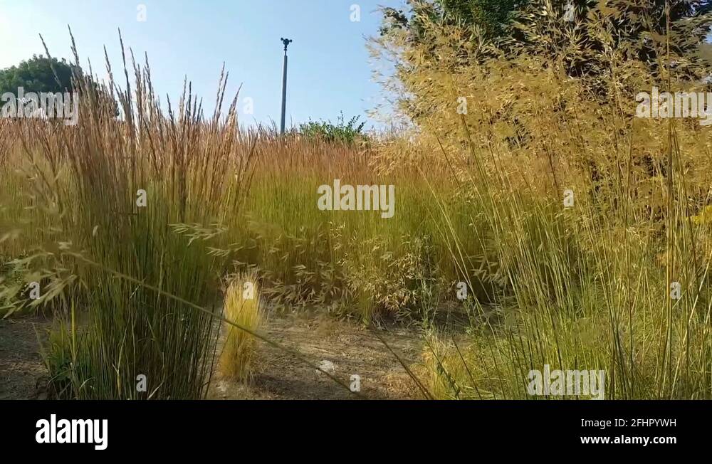 Crossways Stock Videos & Footage - HD and 4K Video Clips - Alamy