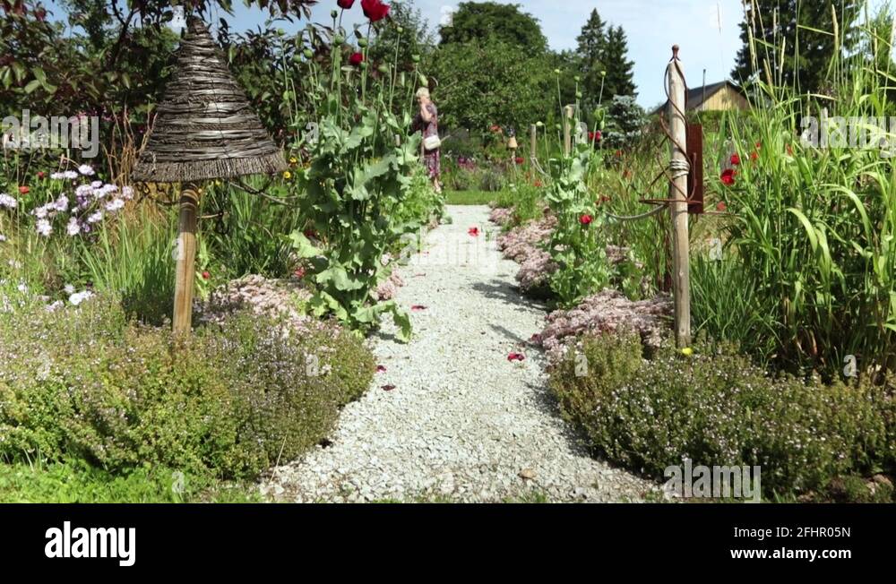 Pathway in botanical garden Stock Videos & Footage - HD and 4K Video ...