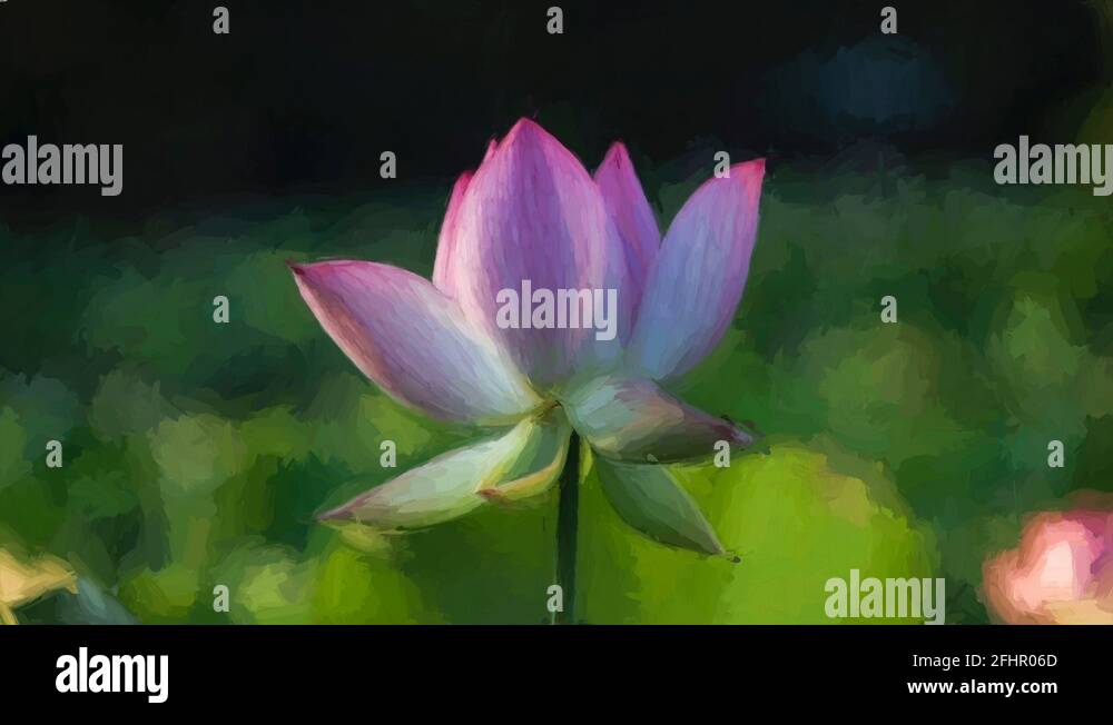 Lotus flower painting Stock Videos & Footage - HD and 4K Video Clips ...