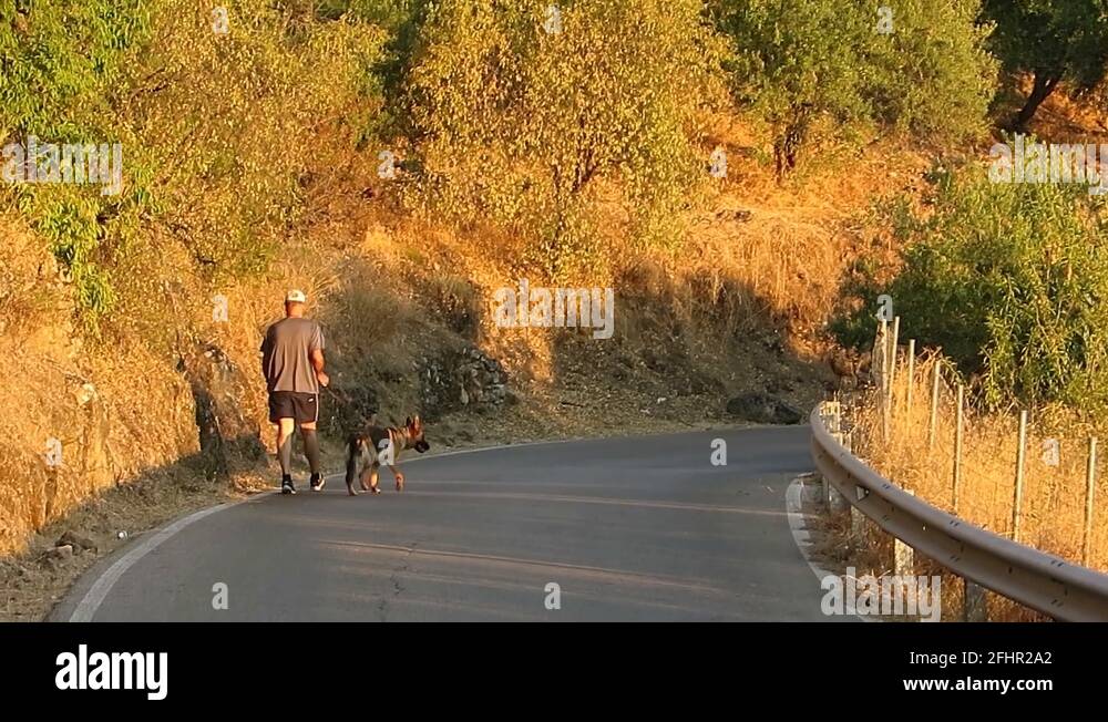 Man walking country lane Stock Videos & Footage - HD and 4K Video Clips ...