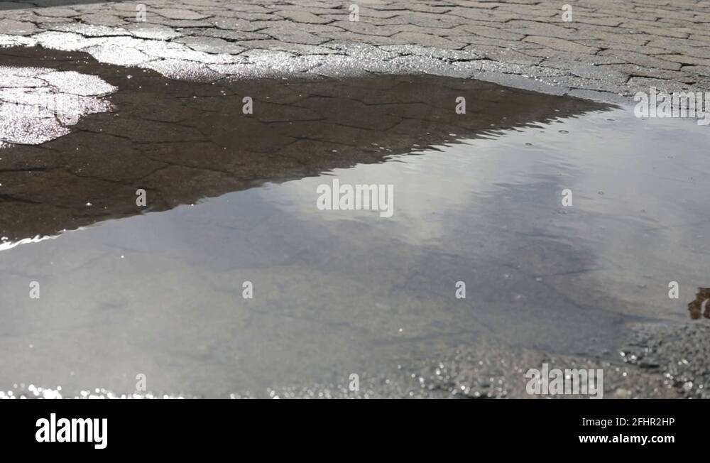 Walking through water Stock Videos & Footage - HD and 4K Video Clips ...