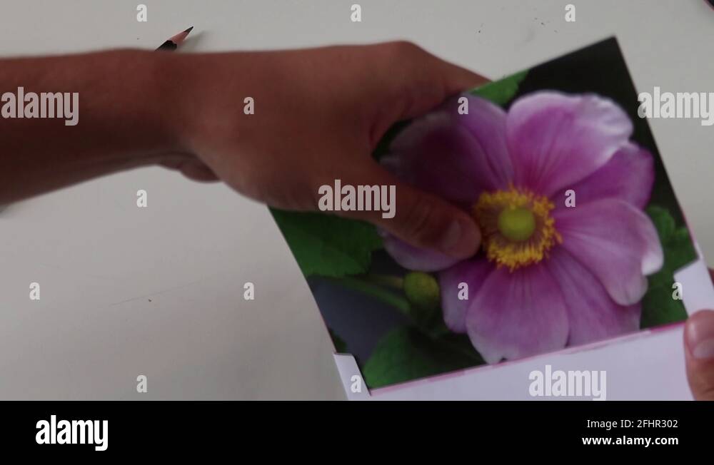 Your dearest letter Stock Videos & Footage - HD and 4K Video Clips - Alamy